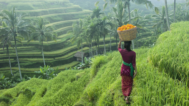 The ultimate guide to Ubud, Bali's artsy neighborhood in the jungle