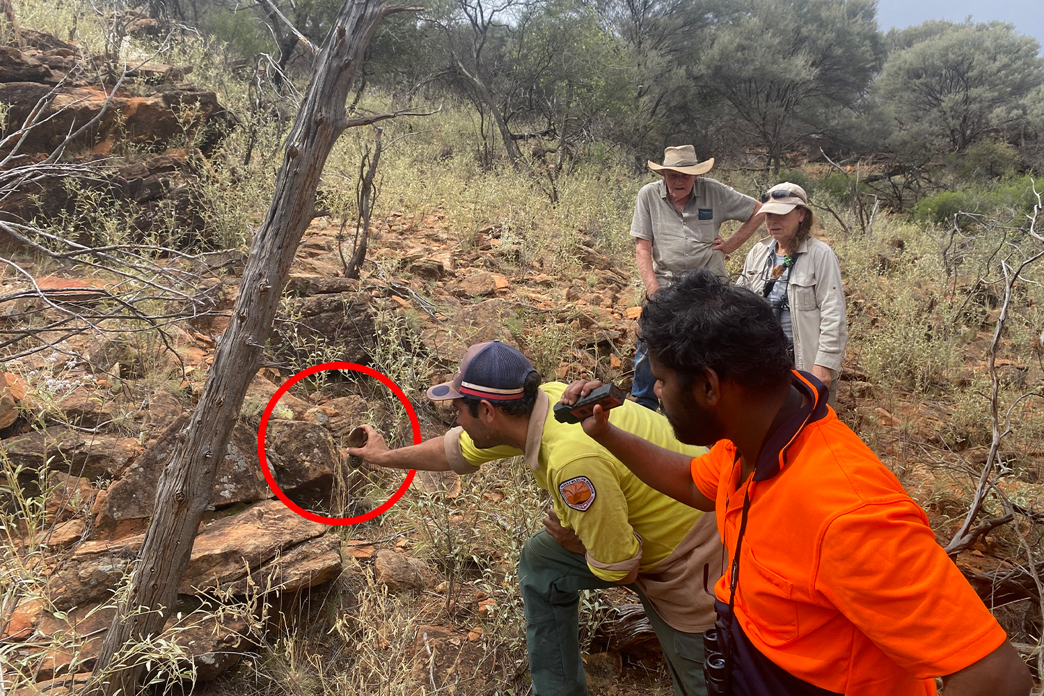 Race to protect 20 'hidden' animals found in only one place in ...