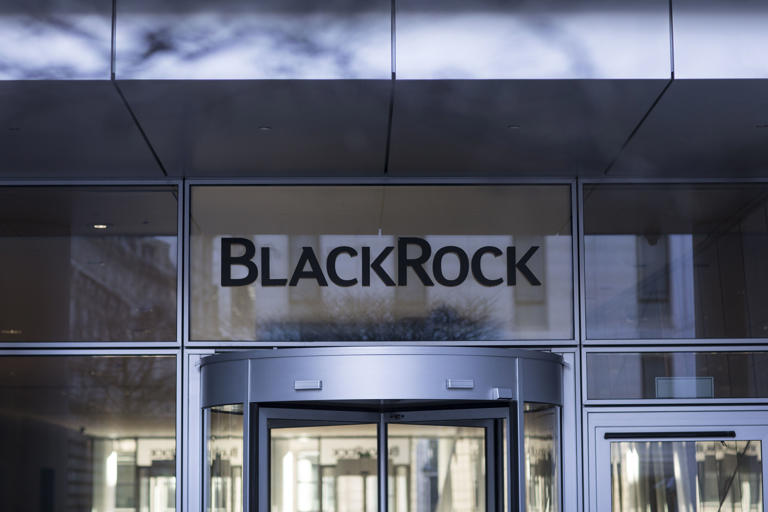 BlackRock’s Asia private credit fund sees China borrower default