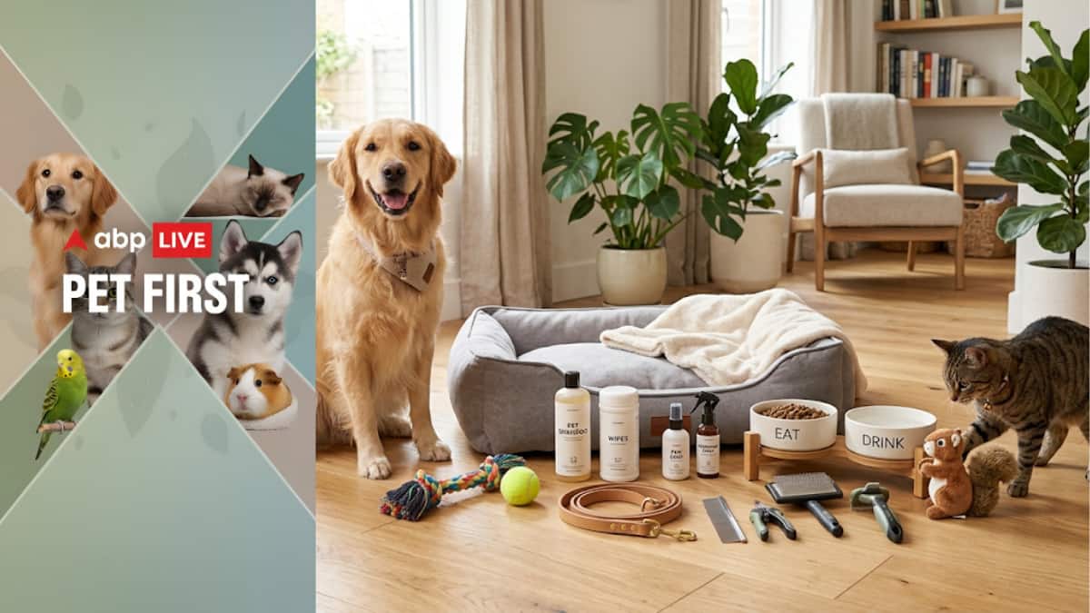 Pet first | 8 pet care products every pet owner should own