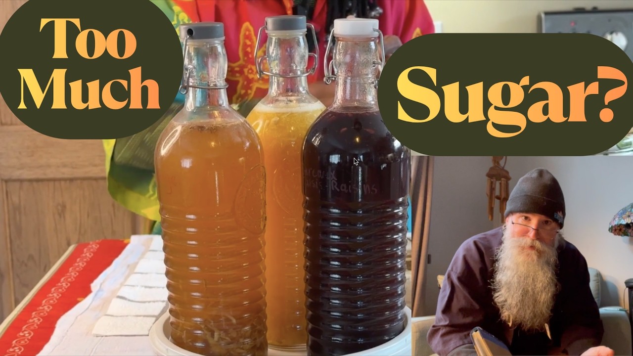 Ginger ale update | Answering your most asked fermentation questions