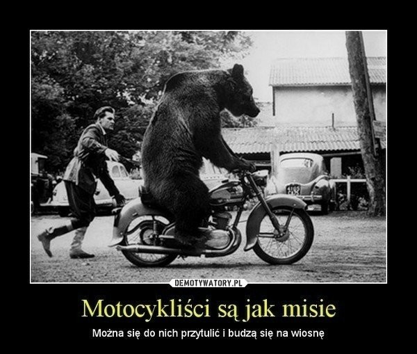 Motocyklowe memy na pełnym gazie. Zobacz najlepsze memy o ...