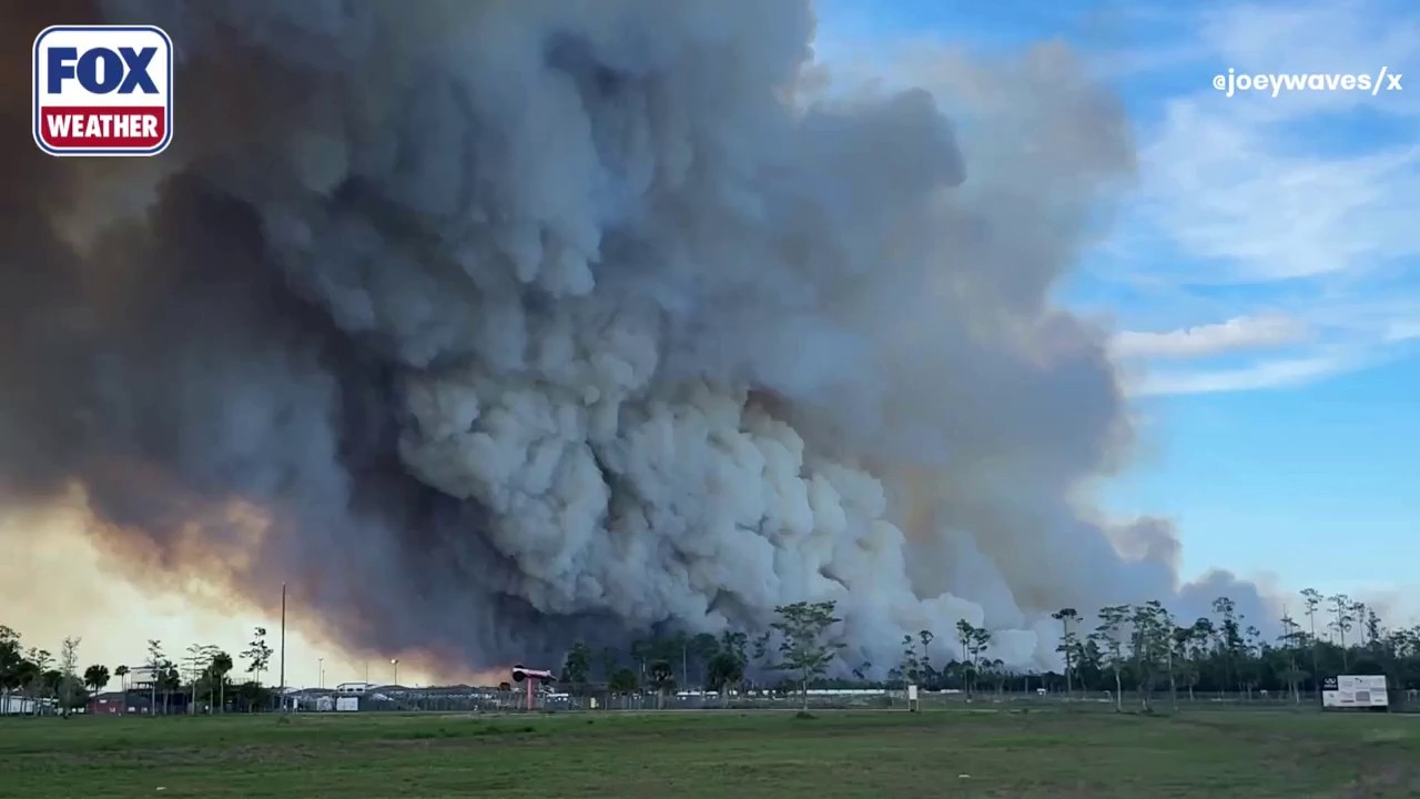 Watch: Heavy clouds of smoke rise above Naples amid raging wildfire in ...