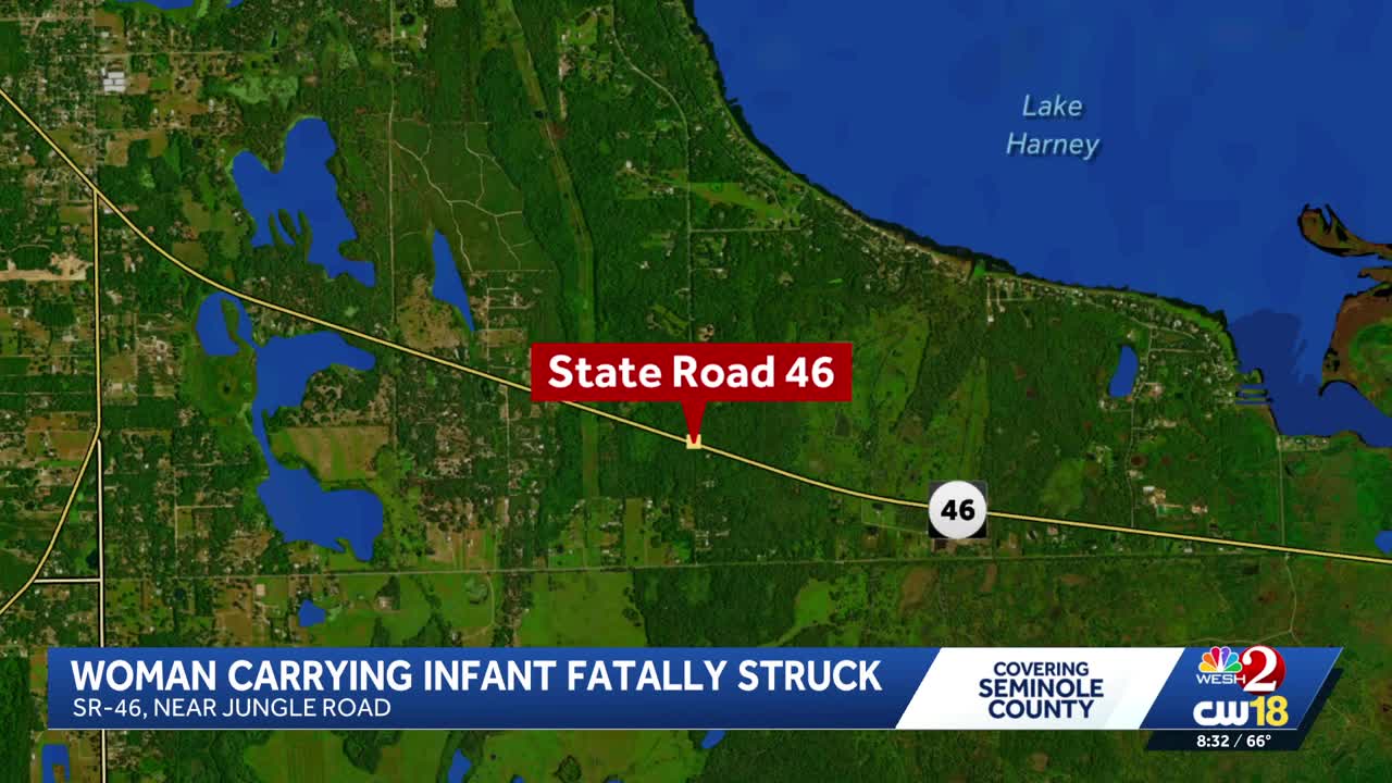 Woman carrying infant in car seat killed while walking on SR-46 crash ...