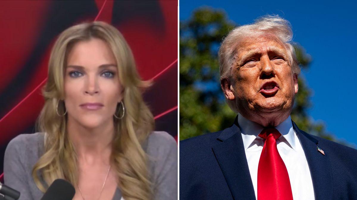 Megyn Kelly breaks from Donald Trump in fiery takedown: 'I'm sick of this'