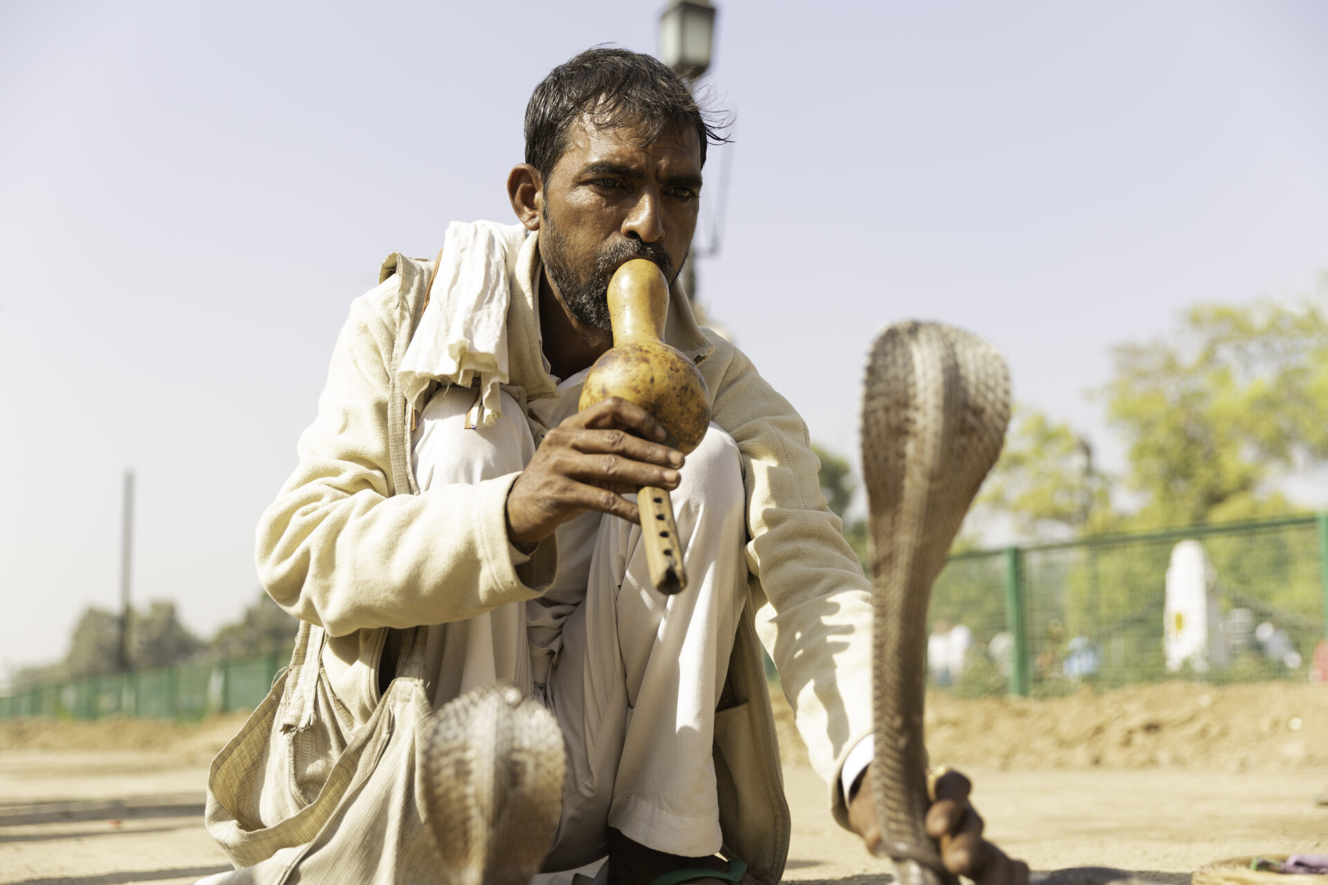El impacto global de la mordedura de serpiente