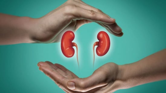 Sir Ganga Ram Hospital nephrologist with 20 years of experience warns ...