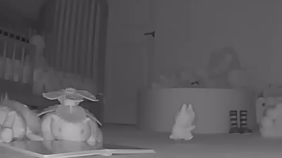 They thought it was a toy until the camera showed it moving on its own