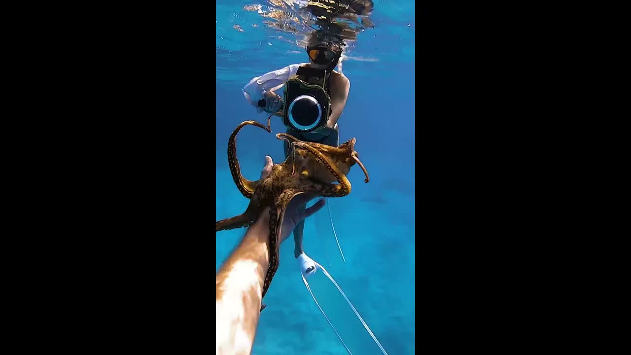 Watch what happens when the octopus grabs his face underwater