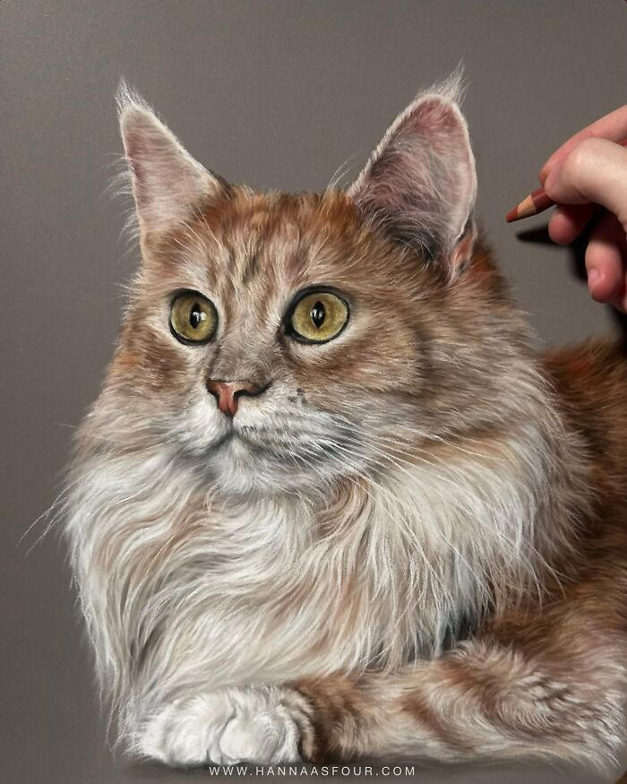 Hyperrealistic pencil drawings: 40 animal portraits