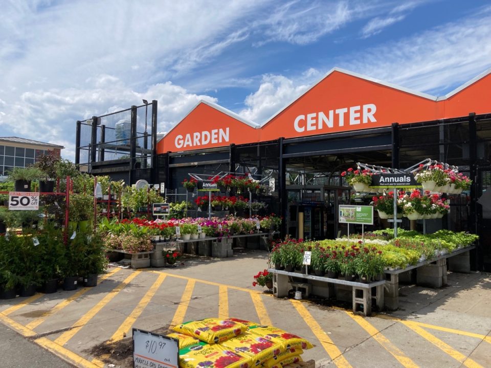 The #1 Home Depot plant to put in the ground this April for fast spring ...