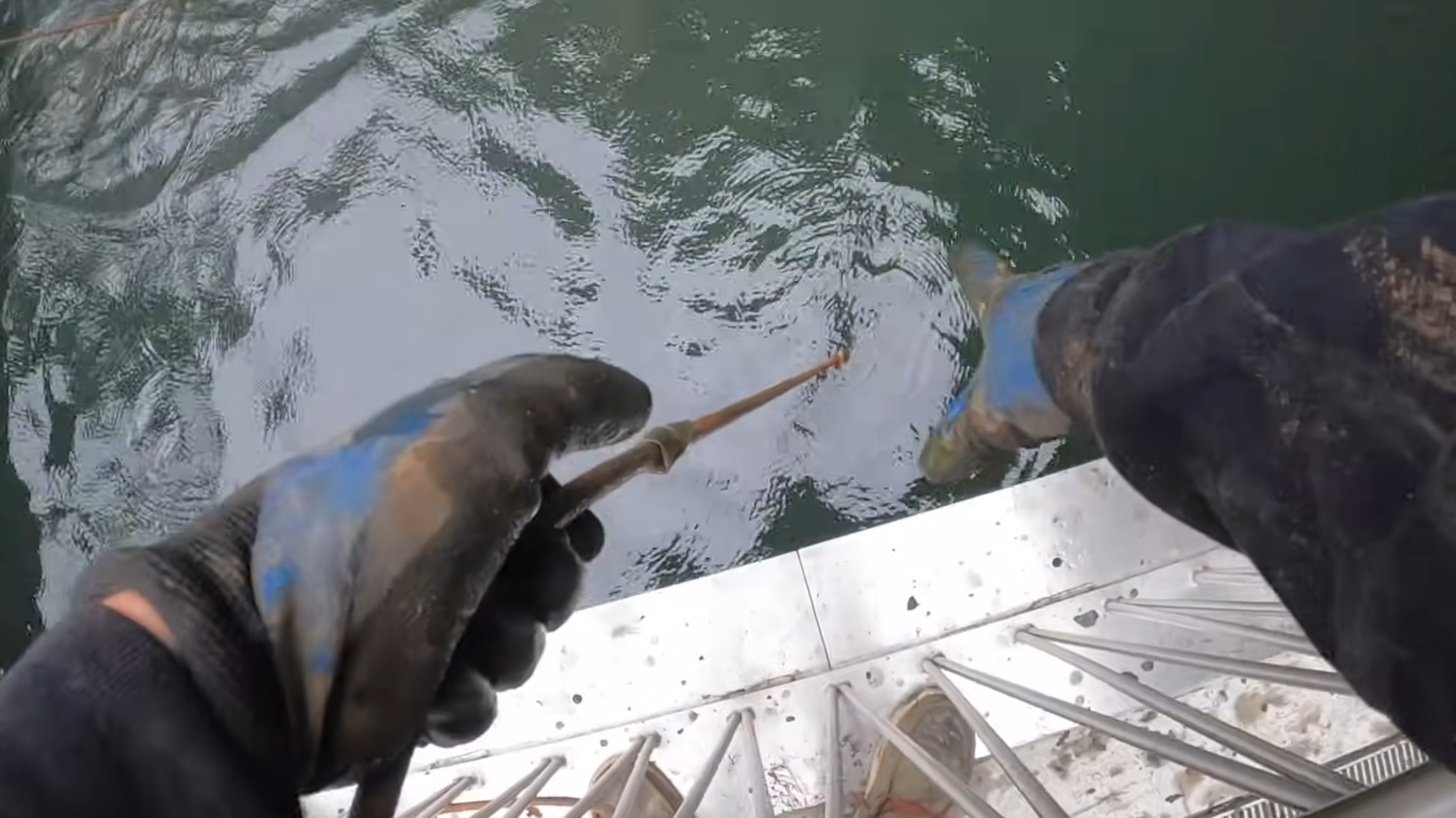 We felt one heavy click - then something rose from the water