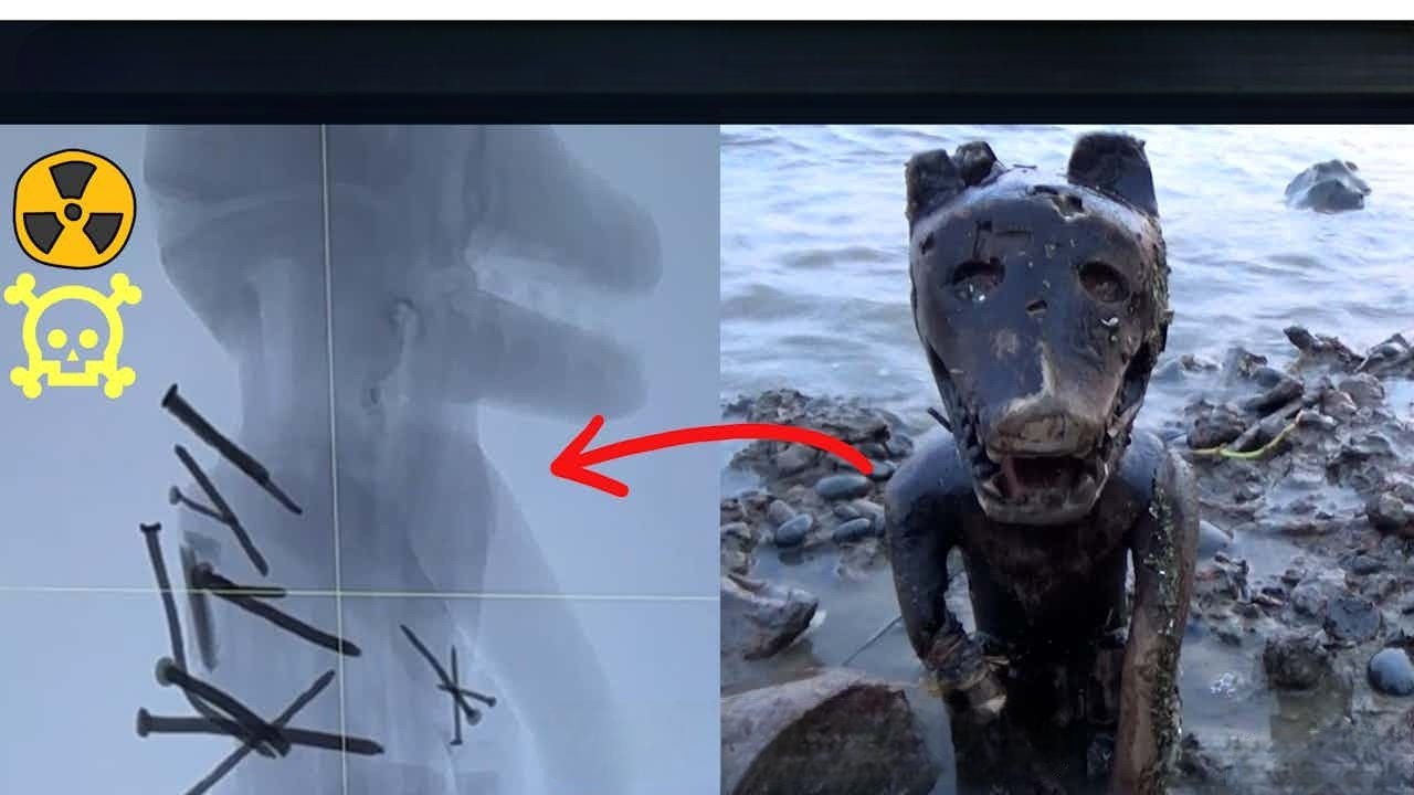 We X-Rayed My Wooden Dog w Nails in His Back