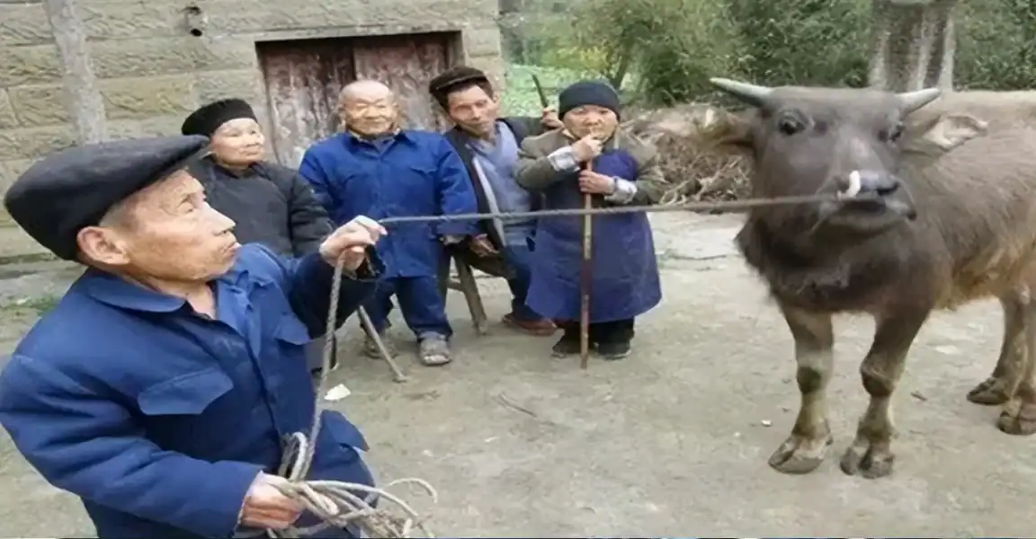 Existe uma cidade na China onde toda a população tem nanismo e tudo é ...