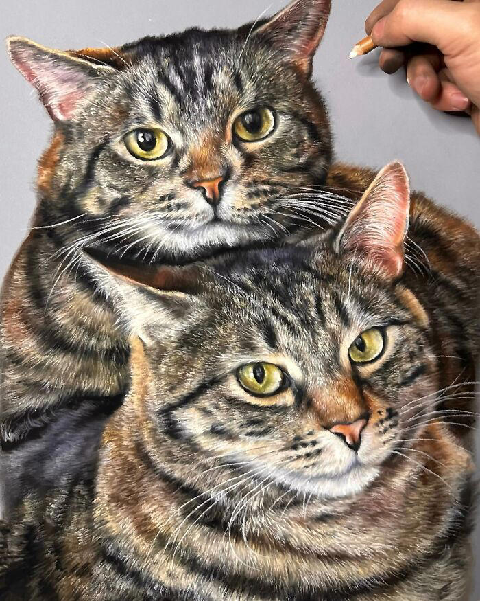 Hyperrealistic pencil drawings: 40 animal portraits