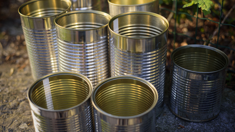 Don't toss empty cans - turn them into adorable garden decor