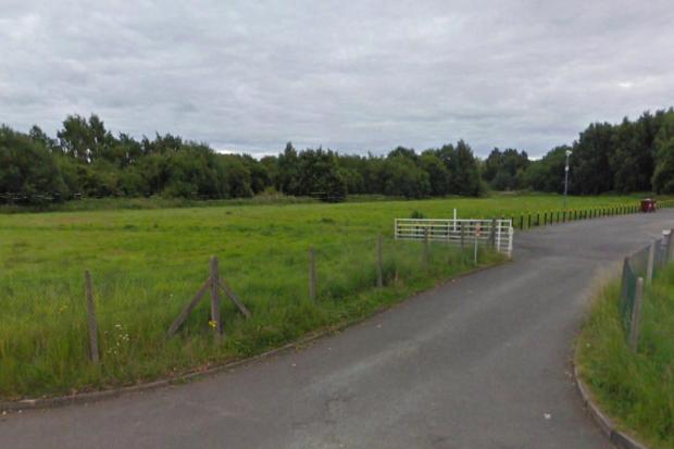 Plans revealed for more than 30 homes on greenfield land in Wrexham village