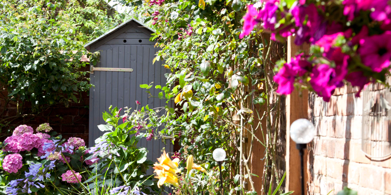 This stunning, yet unusual, hydrangea variety is perfect for small ...