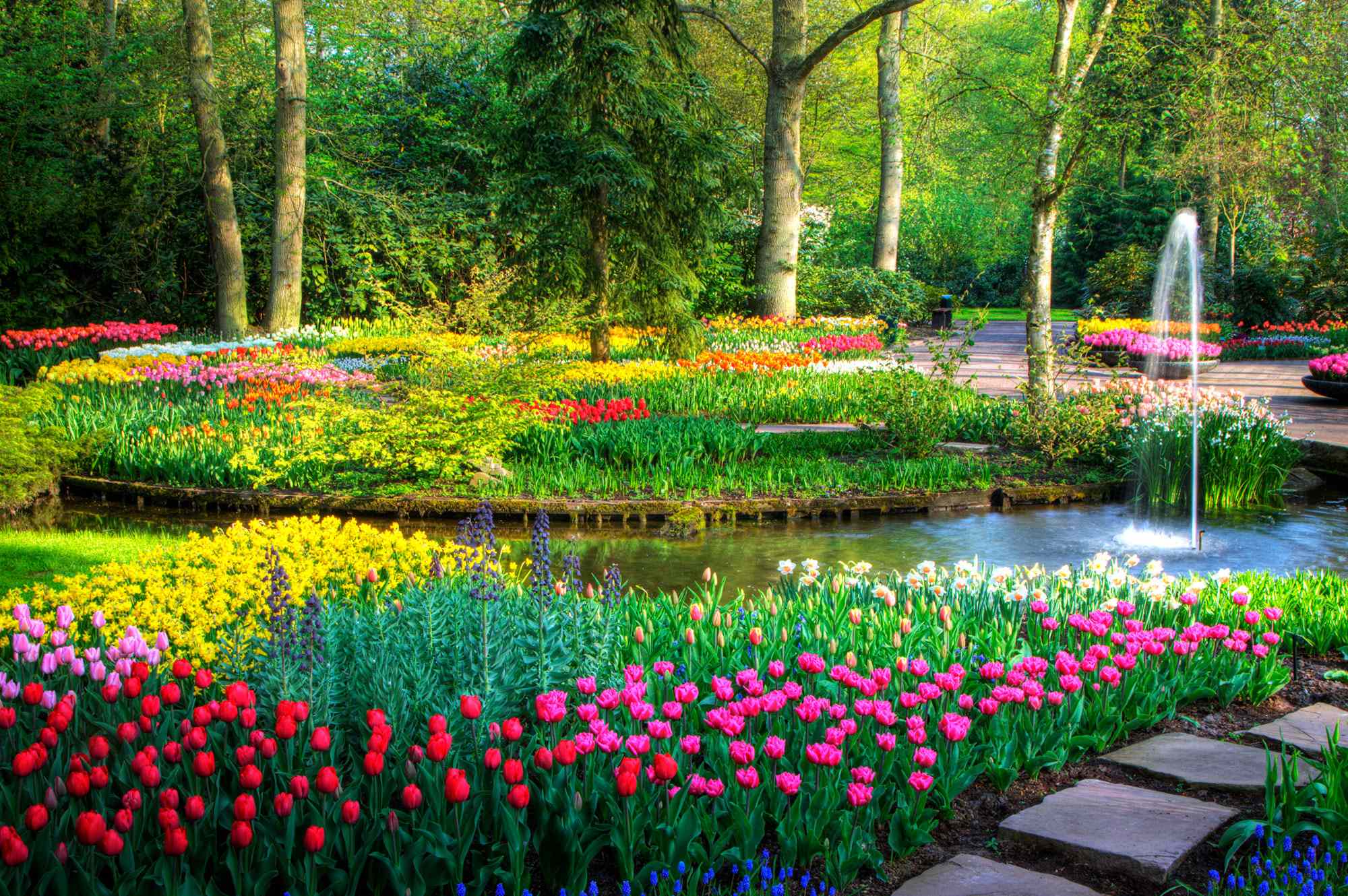 These are the 15 most beautiful flower destinations in the world