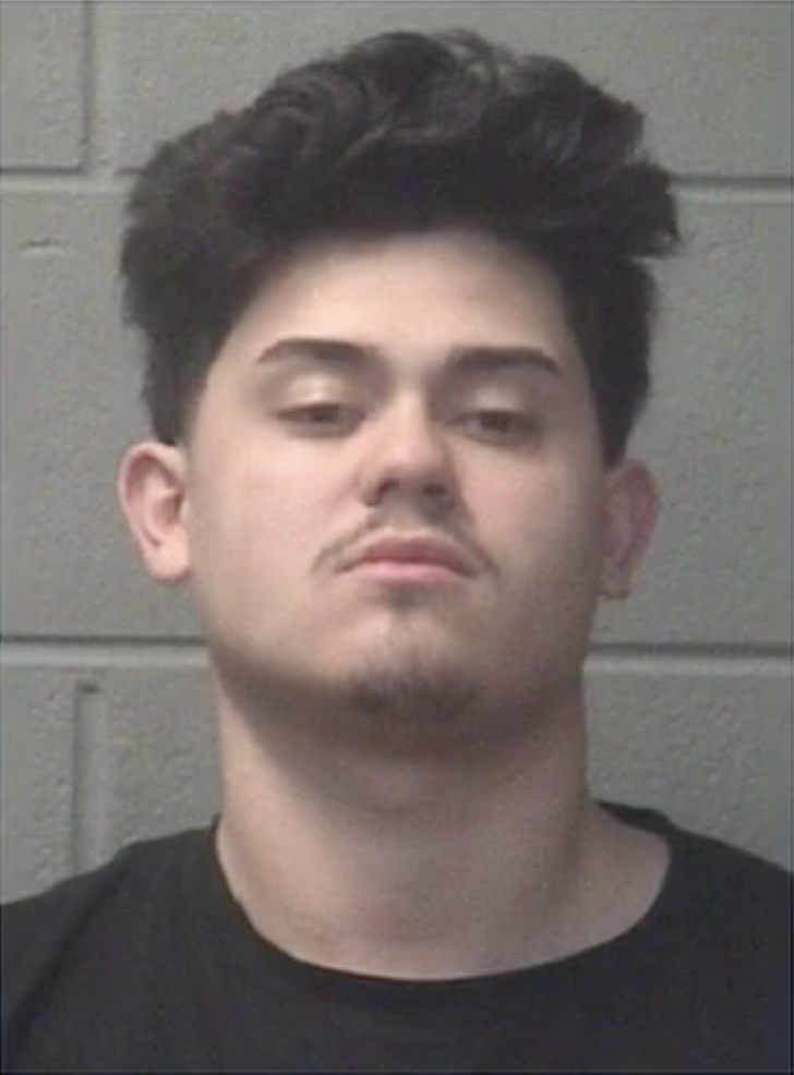 Man accused of beating dogs and endangering newborn sparks urgent calls ...