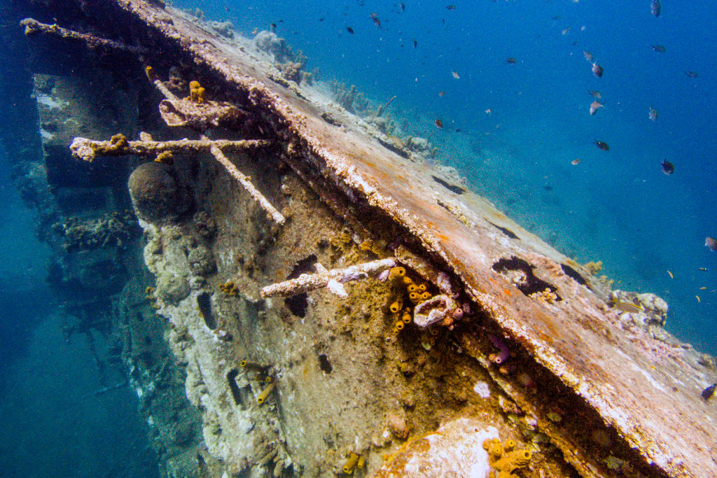 The 'Antilla' shipwreck tells the story of when World War II came to Aruba