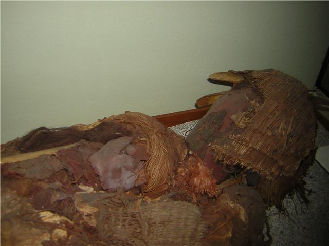 Interesting facts about mummies