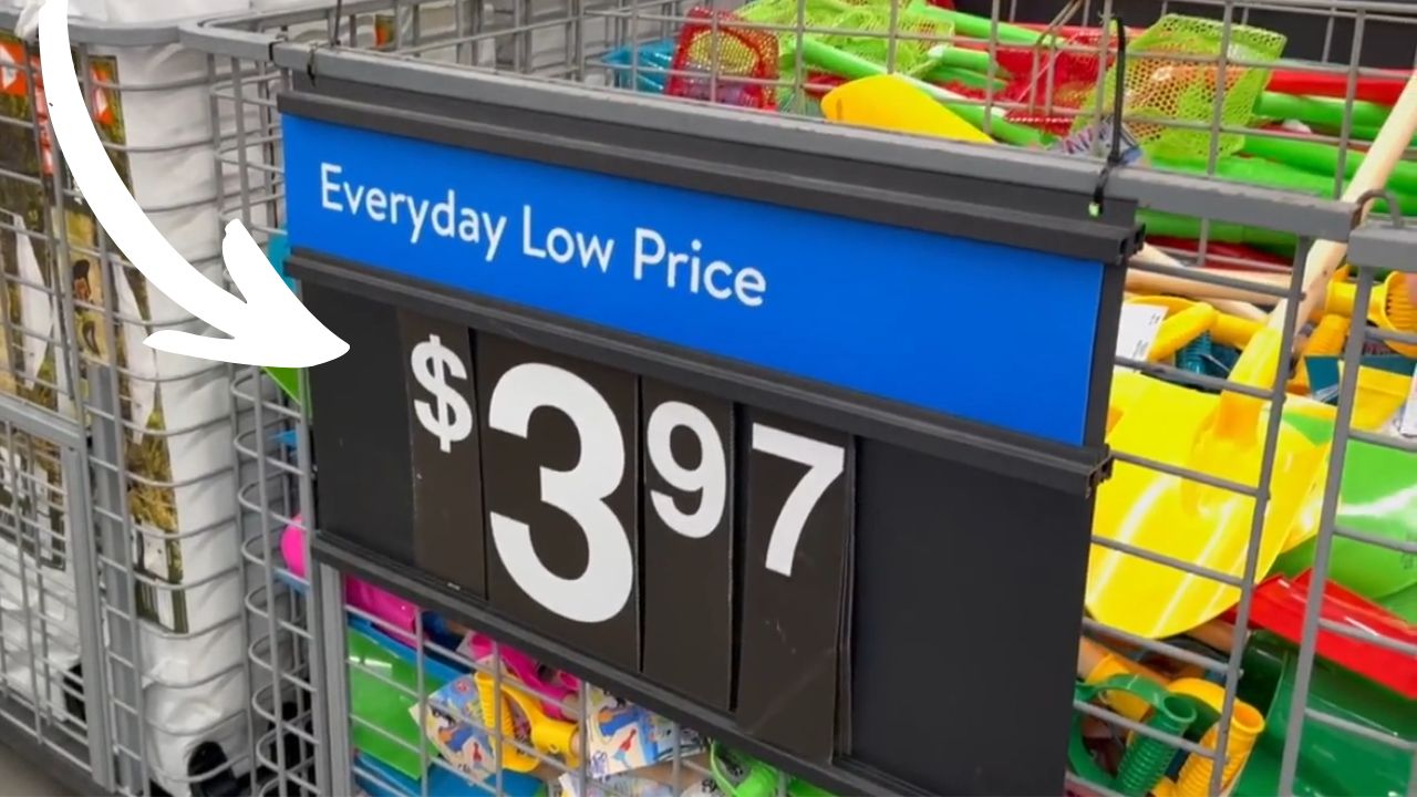 Everyone will be buying the $3.97 Walmart shovel when they see this ...