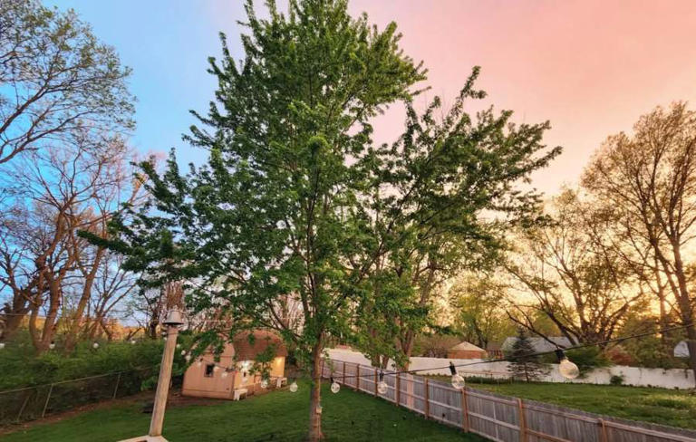 Photos: Damage from tornadoes south of Kansas City