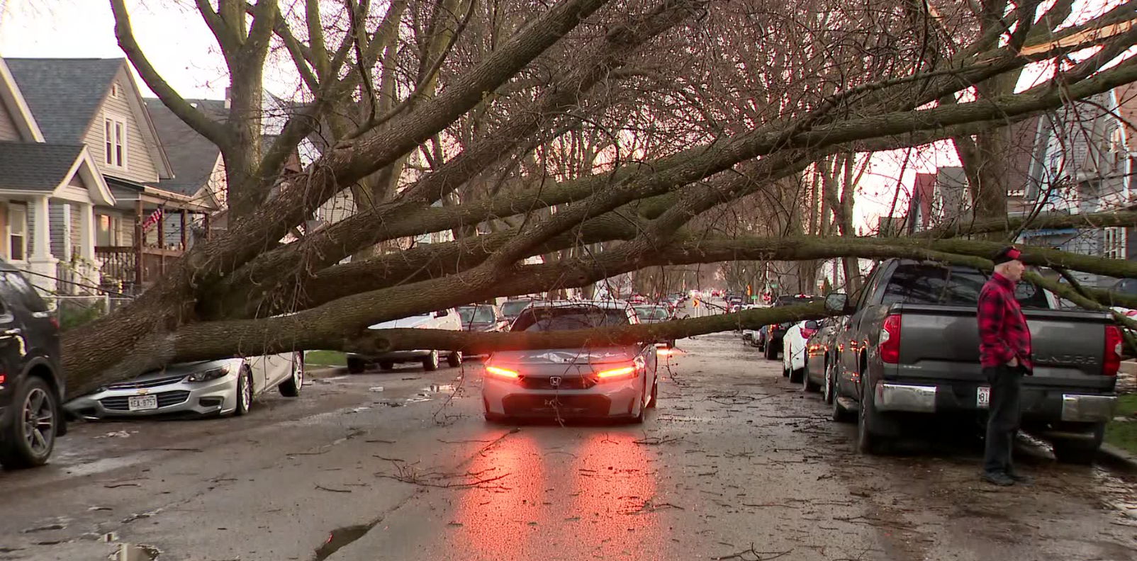 Large tree crashes onto cars in Milwaukee during severe storms