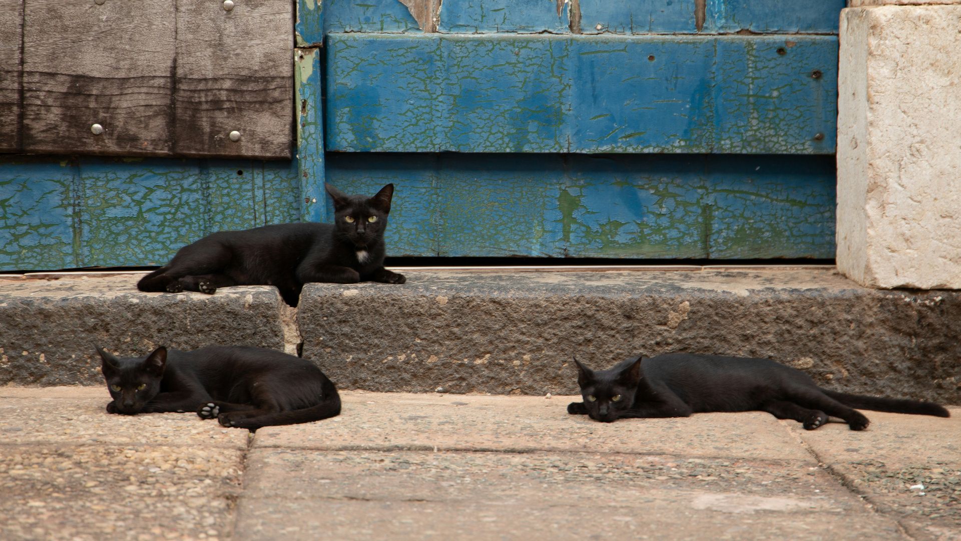 20 superstitions that used to run our lives