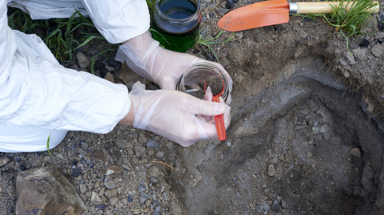 Important soil preparation steps you shouldn't skip before installing sod