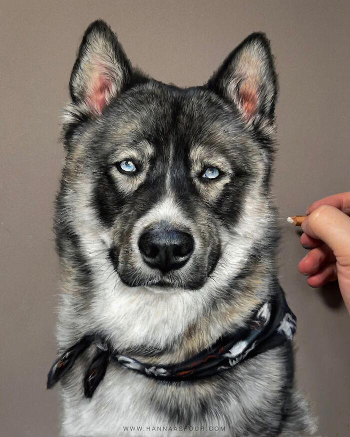 Hyperrealistic pencil drawings: 40 animal portraits