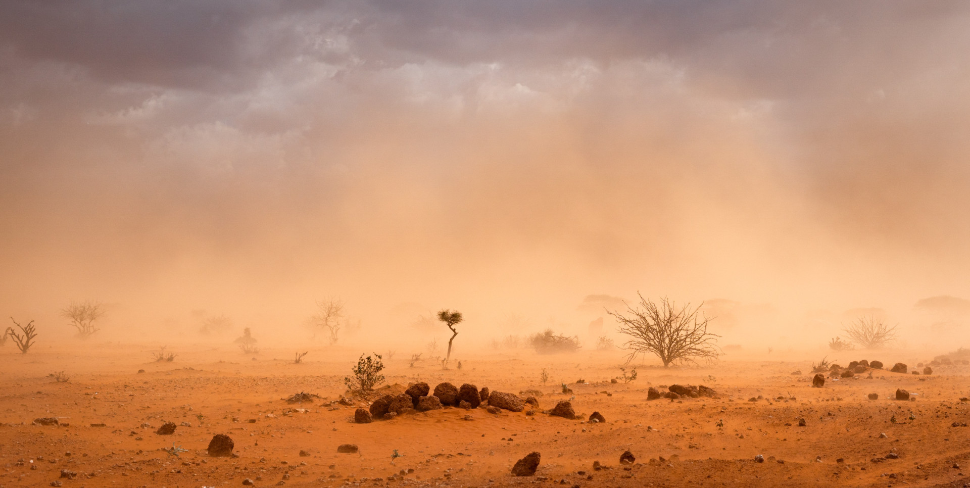 Things you should know about the apocalypse