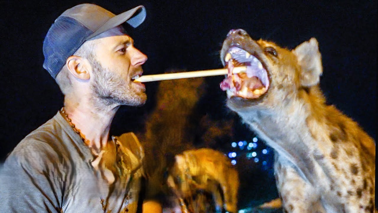 I fed hyenas from my mouth and almost lost my head