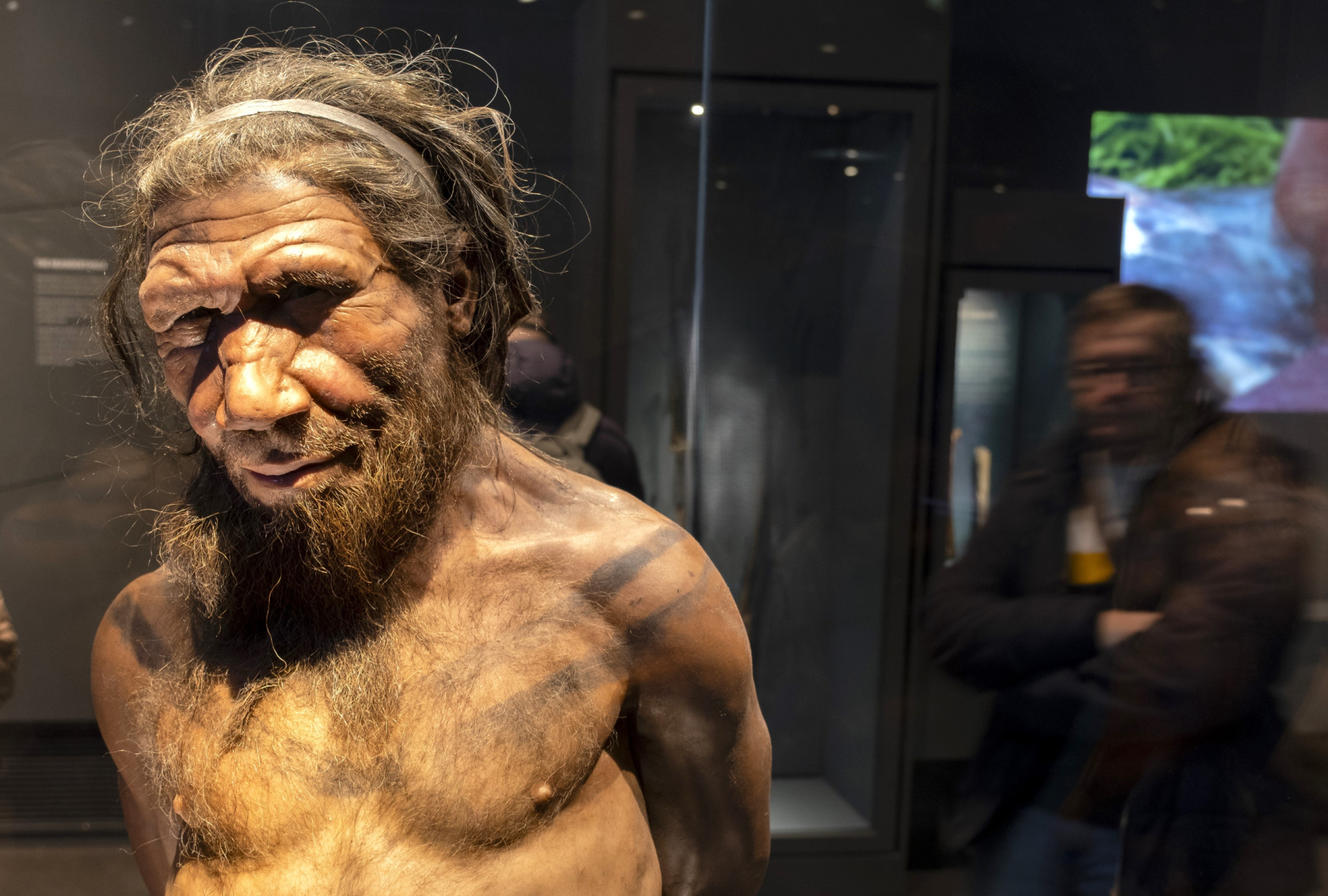 Were Neanderthals kissing each other and early humans?