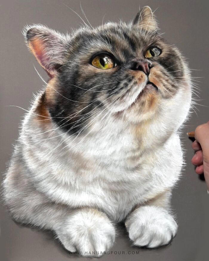 Hyperrealistic pencil drawings: 40 animal portraits