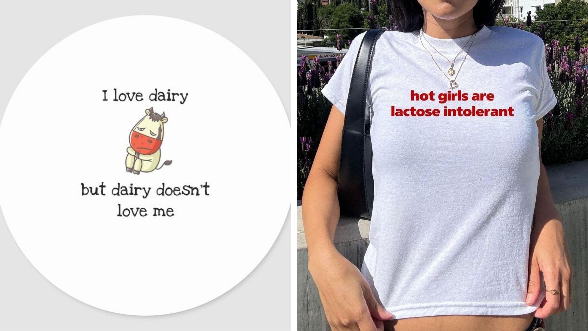 30 memes to laugh through the pain of lactose intolerance