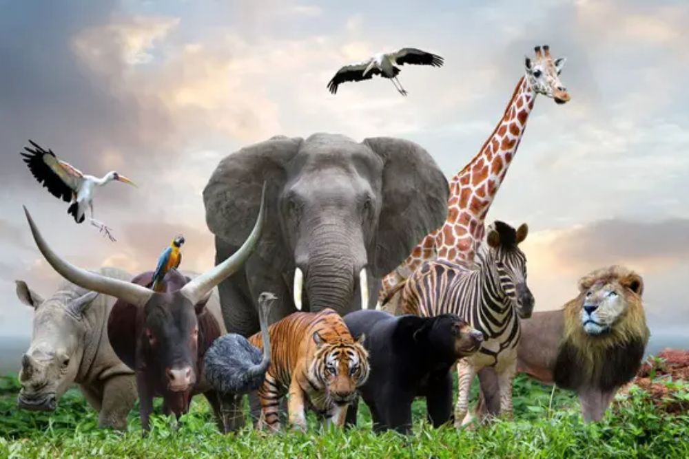 18 animal species that seem like they were designed by a mad scientist