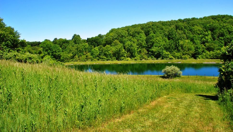Enjoy a scenic springtime hike around these Chester County trails