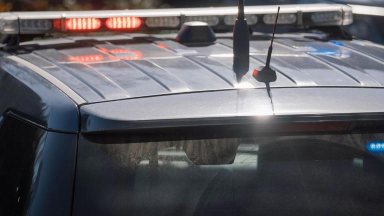 Eugene police cite bicyclist after collision with LTD bus