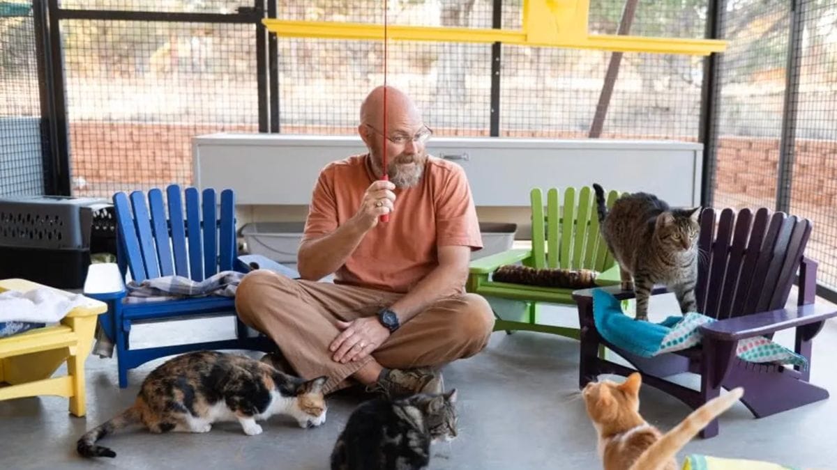 Pensioner uses leftover DIY materials to build amazing furniture for ...