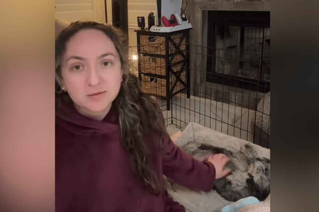 Woman thought lost dog was gone forever—five years later gets a call