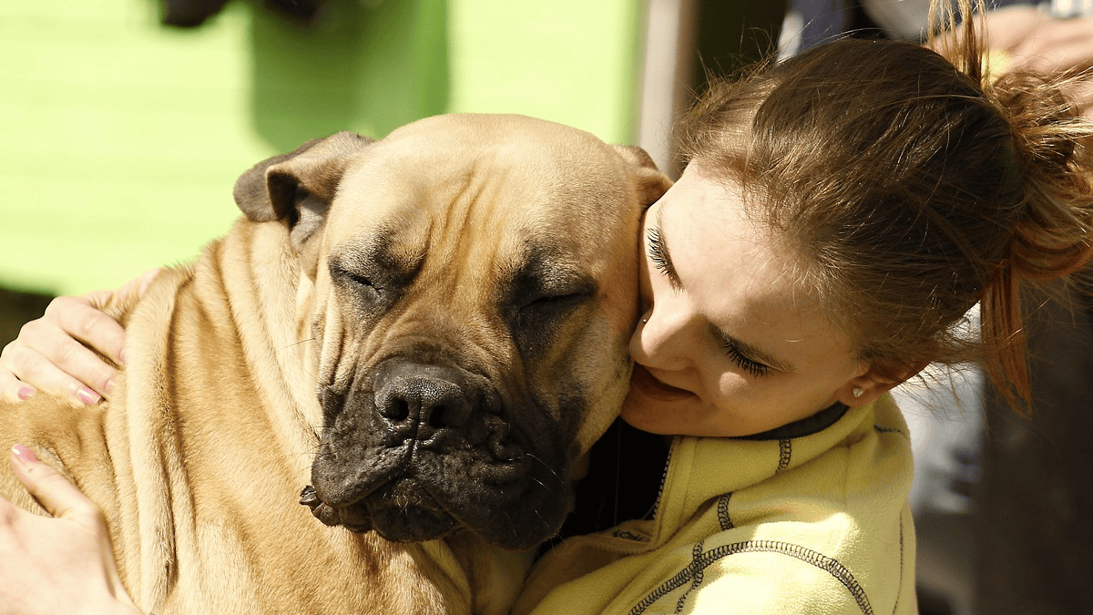 You love your dog, but these 10 daily habits are pushing them away