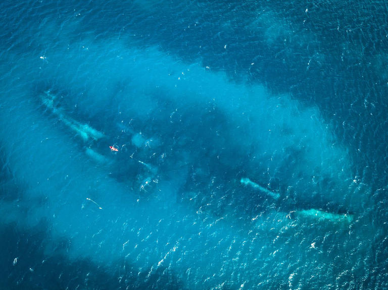 The 'Antilla' shipwreck tells the story of when World War II came to Aruba
