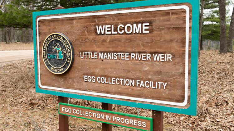 Storm damage at Little Manistee River Weir threatens Michigan DNR ...