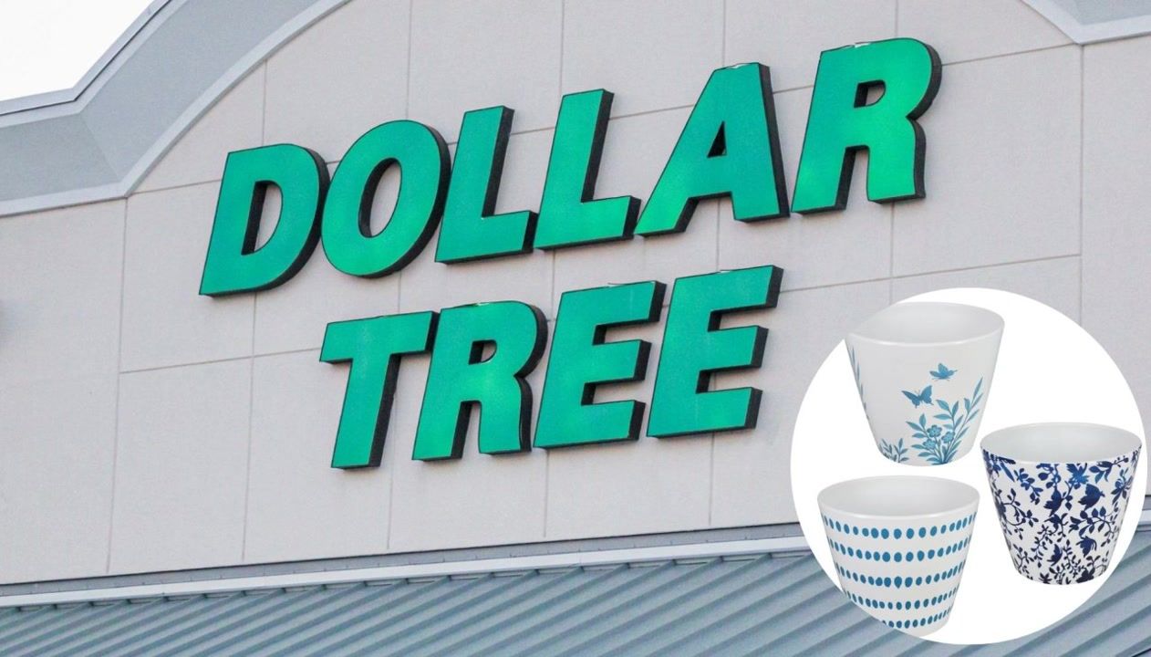 Dollar Tree coastal grandmother aesthetic
