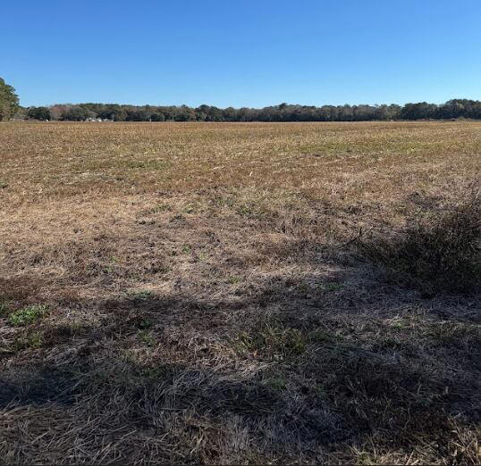 58-acre Wadmalaw Island farm permanently protected through conservation ...