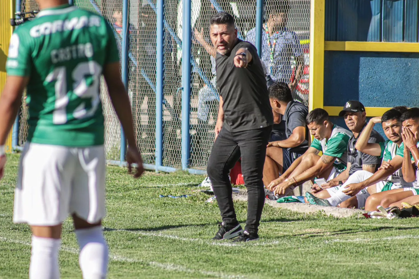 Cae un nuevo entrenador en el fútbol chileno: apenas duró tres fechas