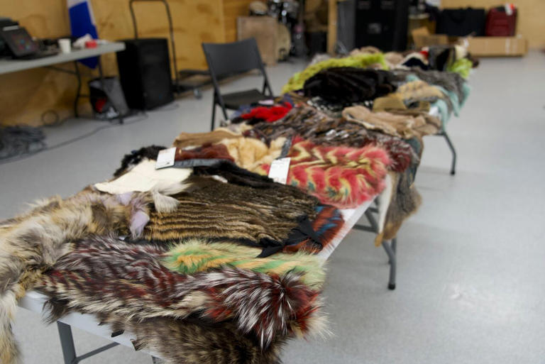 Mixing mink and muskrat? Workshop brings new fur techniques to ...