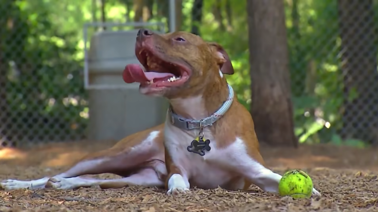 Eastern NC prepares for rare high temps: Hydrate, stay safe